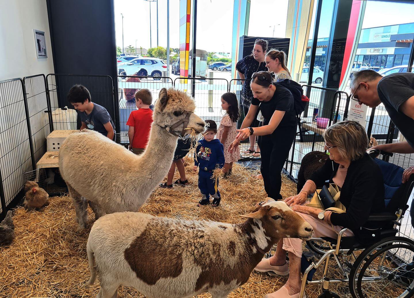 Cuddly Farm @ Singleton Village - Aigle Royal Group